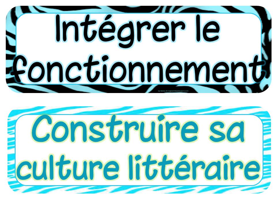 Affichages pour l'atelier DECLIC