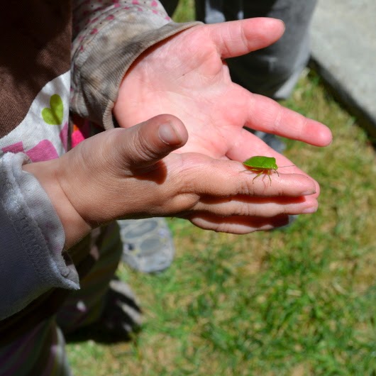 How to Get Your Kids to Play Outside ~ Eco-novice