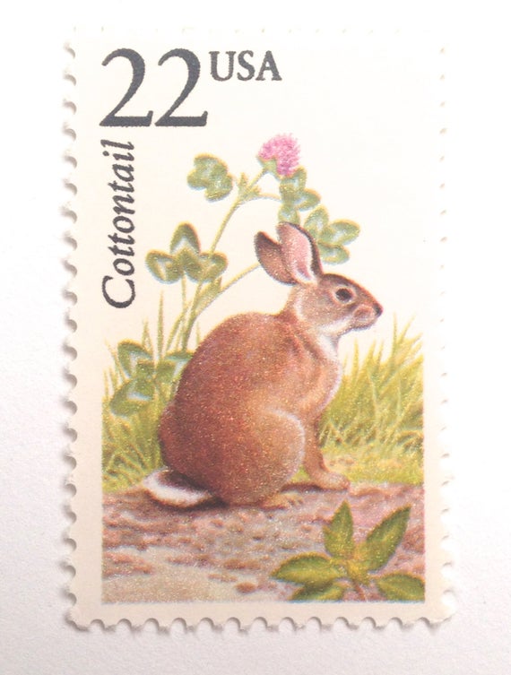 Cindy deRosier: My Creative Life: Rabbit Postage Stamps (Bunny Week ...