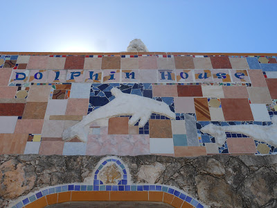 Summer Breeze: DOLPHIN HOUSE, Jan 10, 2013