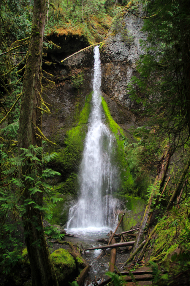 ink + adventure: Olympic National Park, WA // Lake Crescent and ...