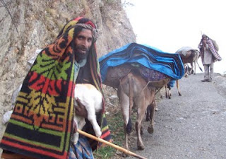 Sangrah News: ˝Gujjar˝ Tribe Visitor Community of Sirmaur.