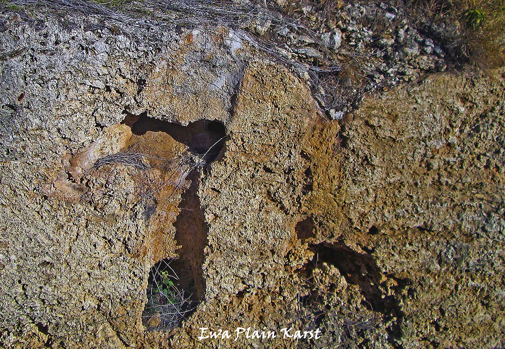 Ewa Hawaii Karst: Ewa Plain Karst Discoveries: Extinct Bird Species ...