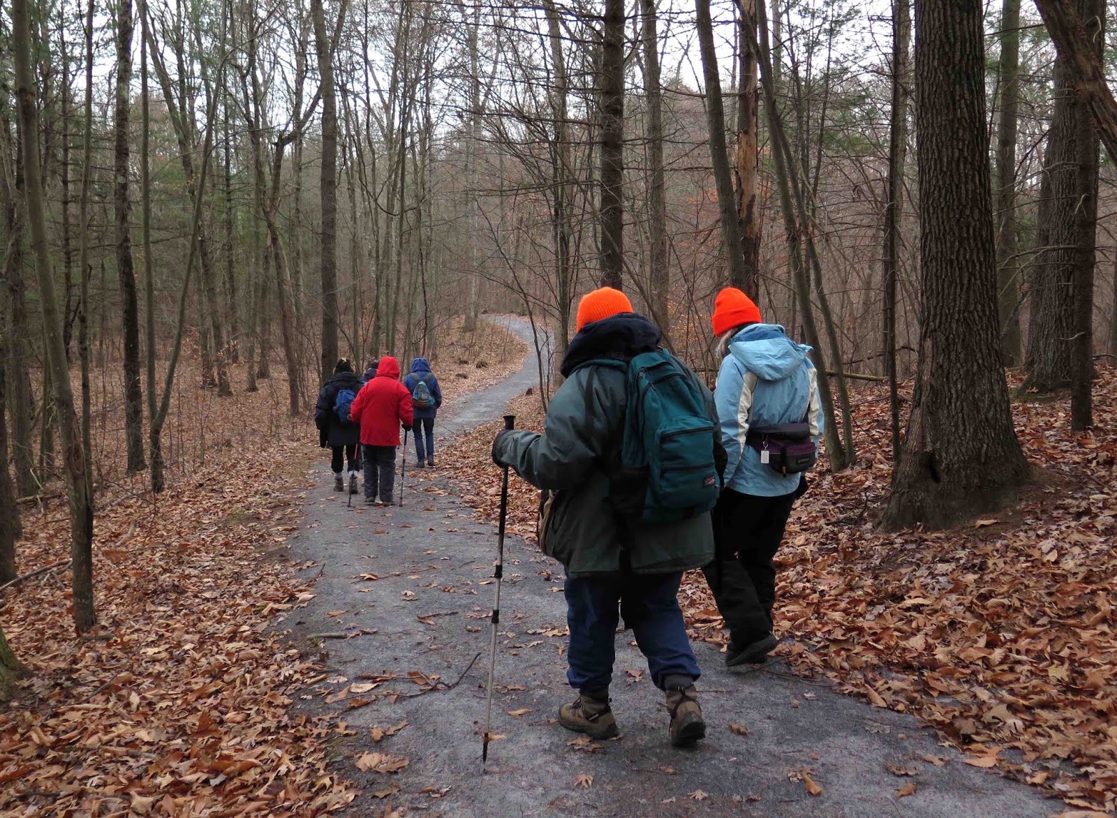 Saratoga woods and waterways: A Cold Morning Walk at the Hundred-Acre Woods