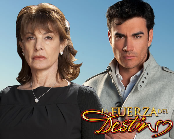 Punto de Acceso: La Fuerza Del Destino Capitulos 11