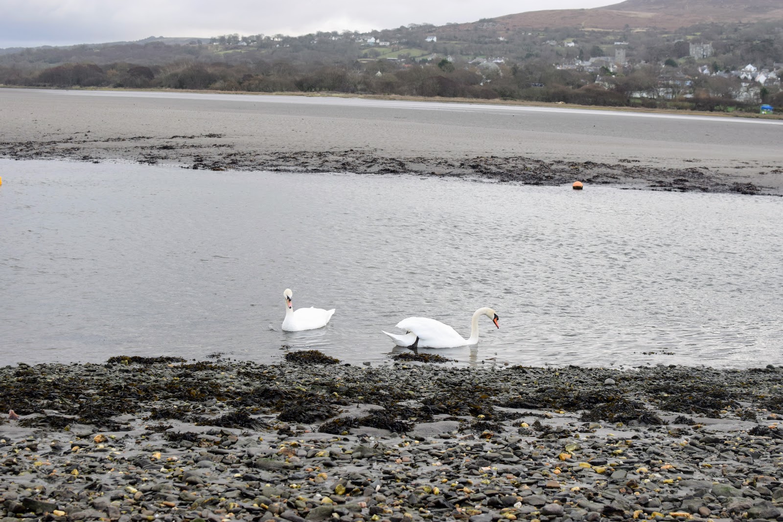 Clearing the Cobwebs at Newport Sands, Pembrokeshire - Diary of the ...