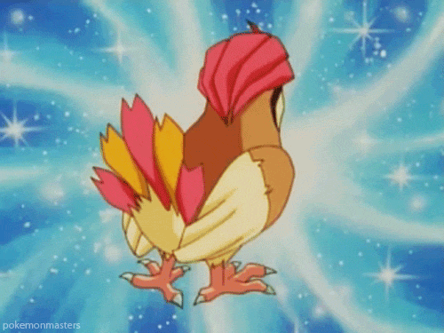 Pidgeotto Poke'mon
