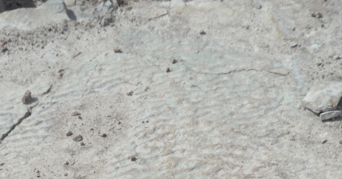 Fossils and Geology of Lanark County, Ontario: Fossil Ripple Marks in ...