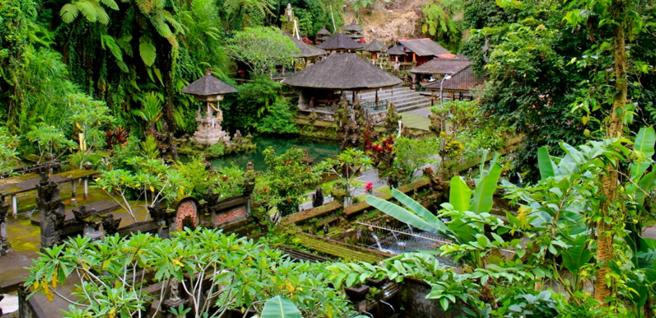 traveled to the village Sebatu and pujung, Bali, Indonesia | Feel in Bali