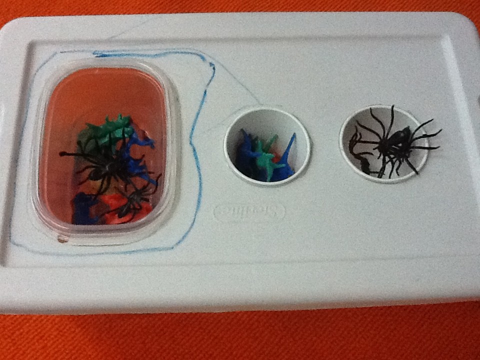 Learning to Grow... Preschool Special Education: More Task Boxes