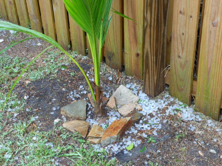 Aerides Designs - Handcrafted Gemstone Jewelry