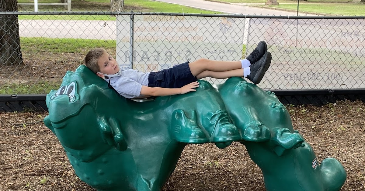 Little Colts: Enjoying the Fresh Air