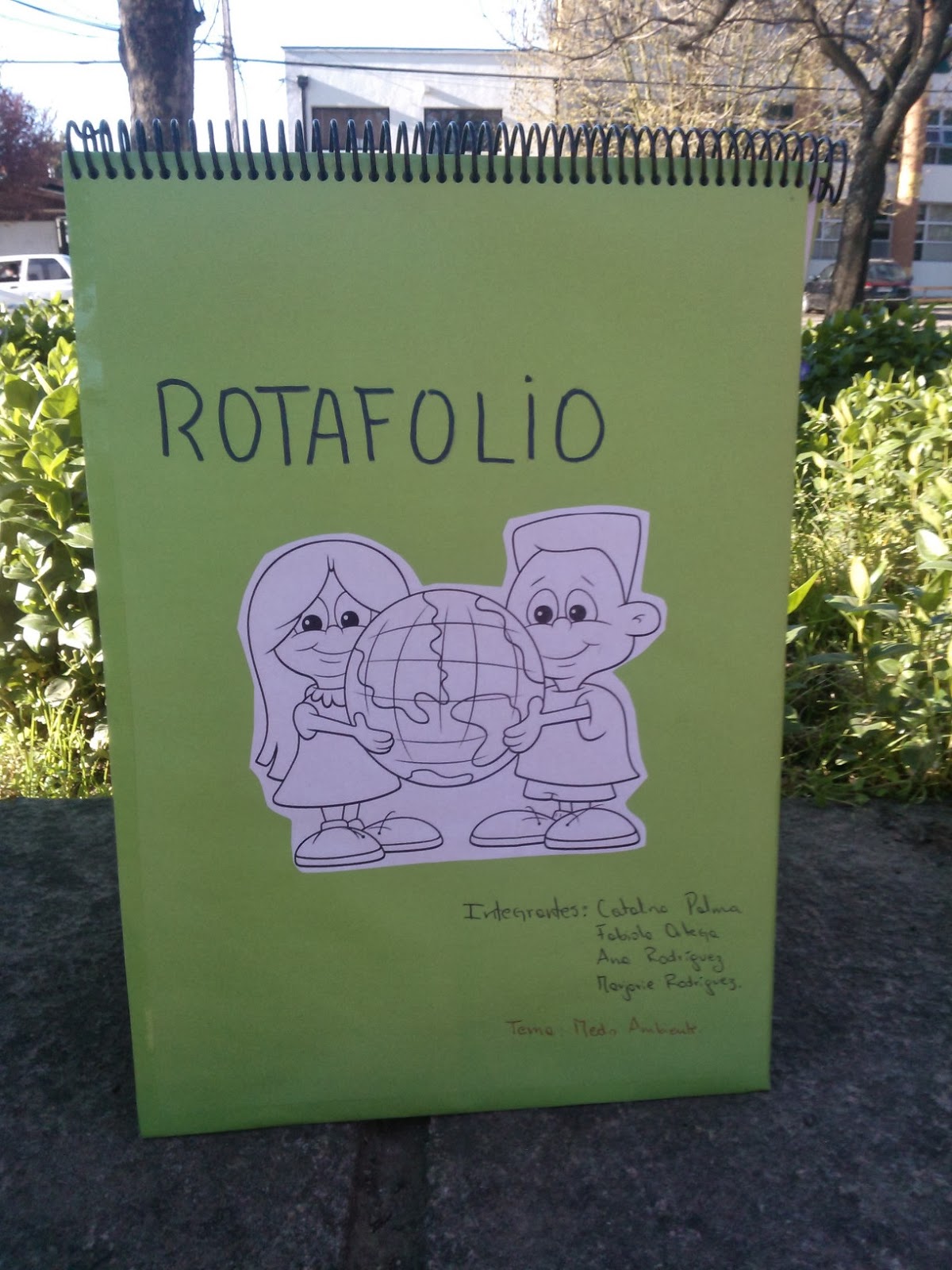 MEDIO AMBIENTE: ROTAFOLIO V.I.F.