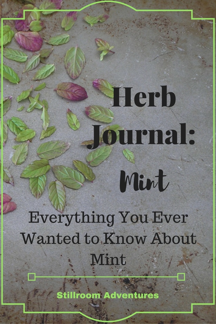 Mint: The Ultimate Guide