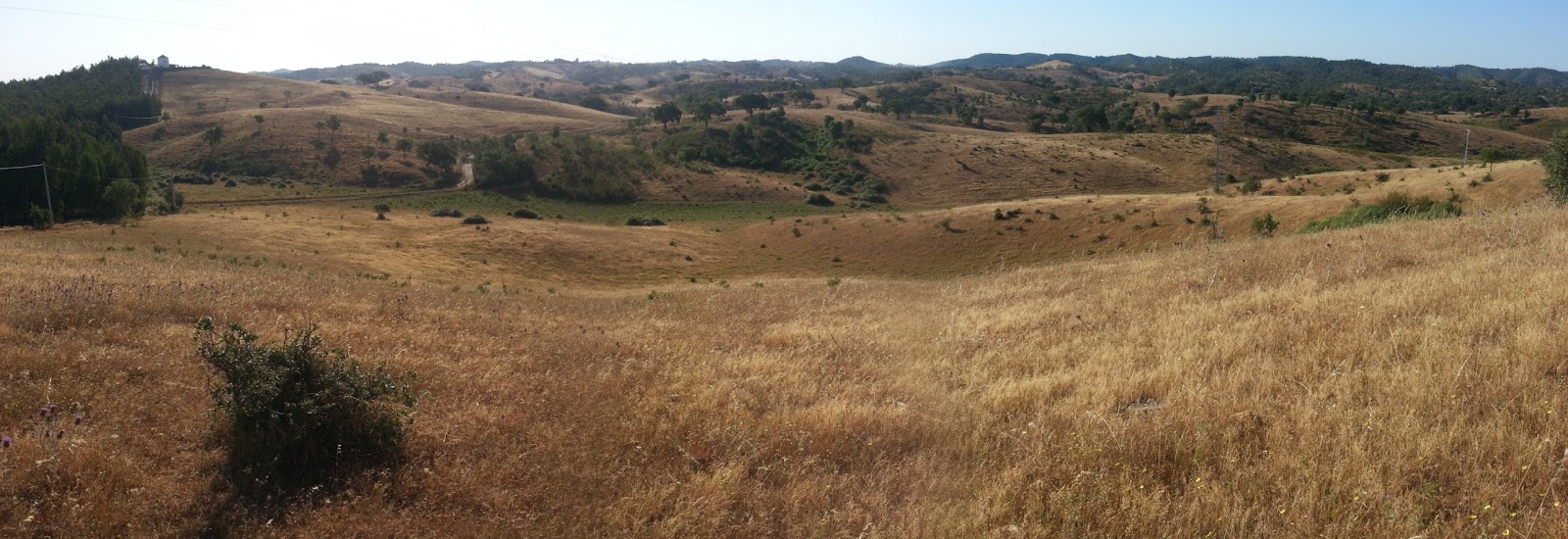 Wolfe in Transition: How to reverse desertification