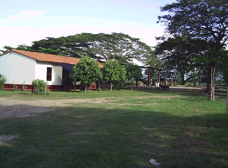 BIOSEMILLA: CONCEPTO DE FINCA