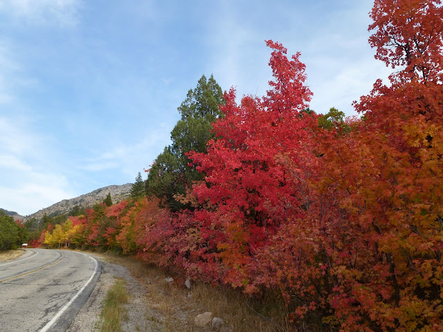The Bright Secret: Fall Colors - Powder Ridge Utah