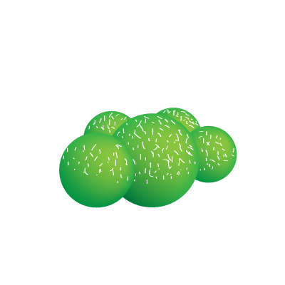 Enjoy drawing klepon in Adobe Illustrator | Dgraphic-ink