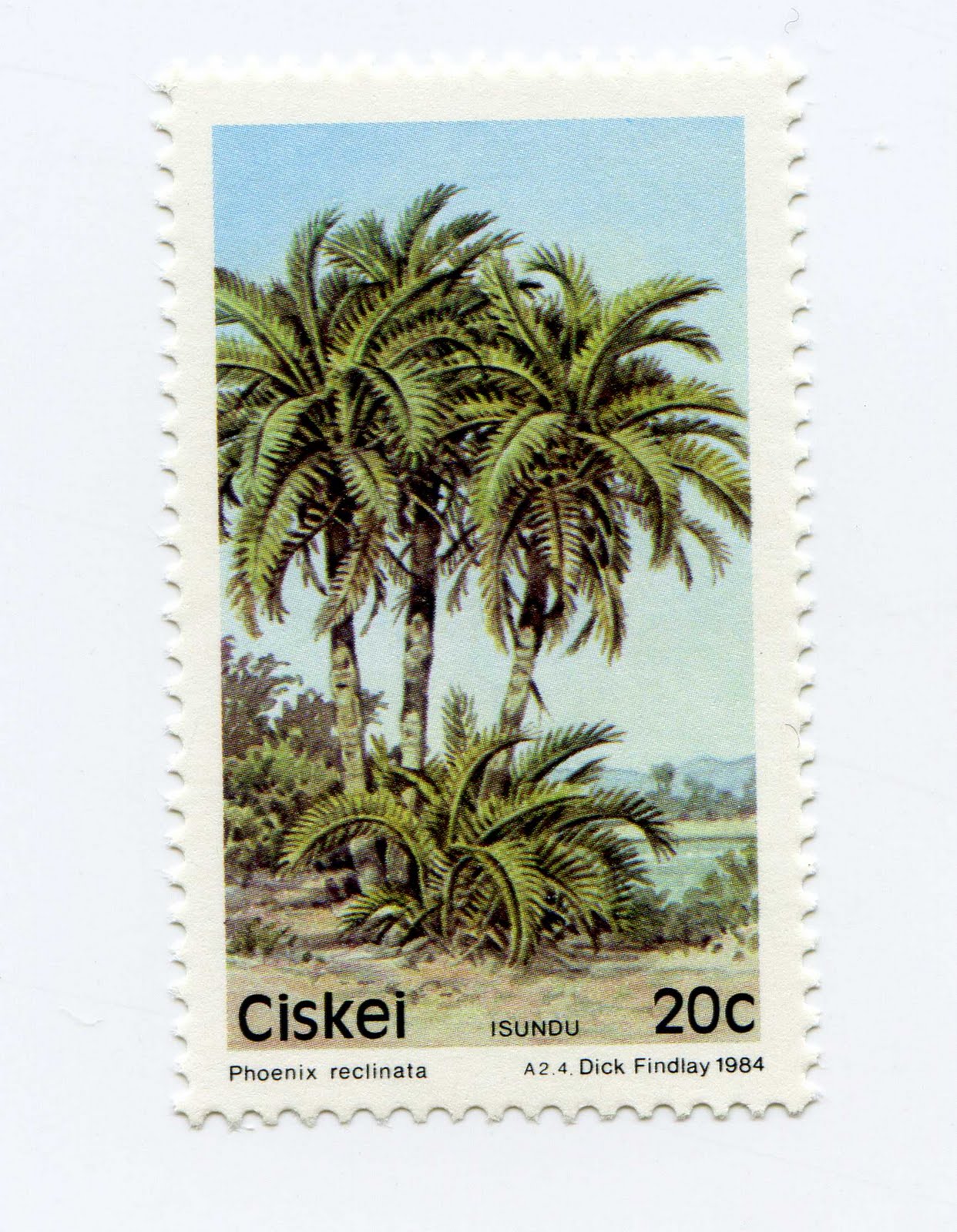 BIODIVERSIDAD FORESTAL: Biodiversidad Forestal (CISKEY)