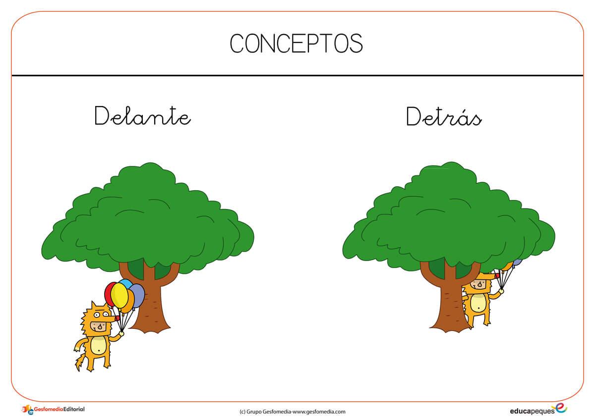 ESTRELLITAS DE AL : CONCEPTOS BÁSICOS