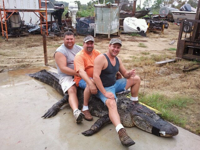 Marian's Hunting Stories, etc., etc., etc...: An Awesome Alligator!