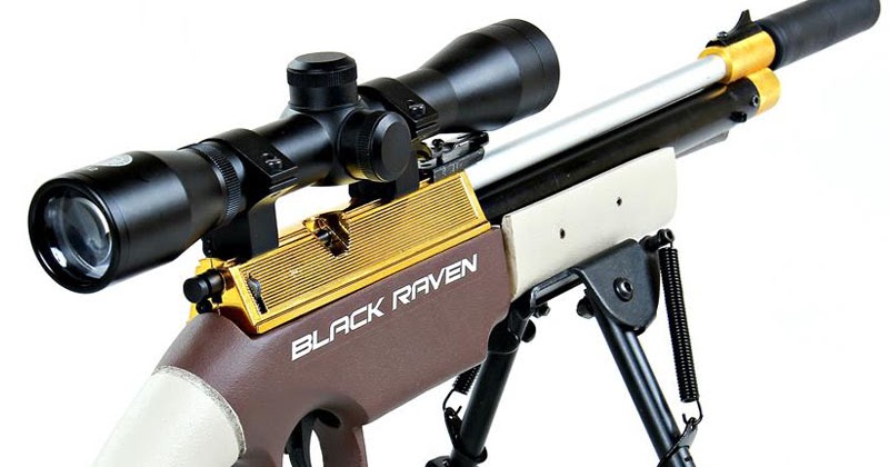 Harga Pistol Angin Terlengkap Serta Paling baik