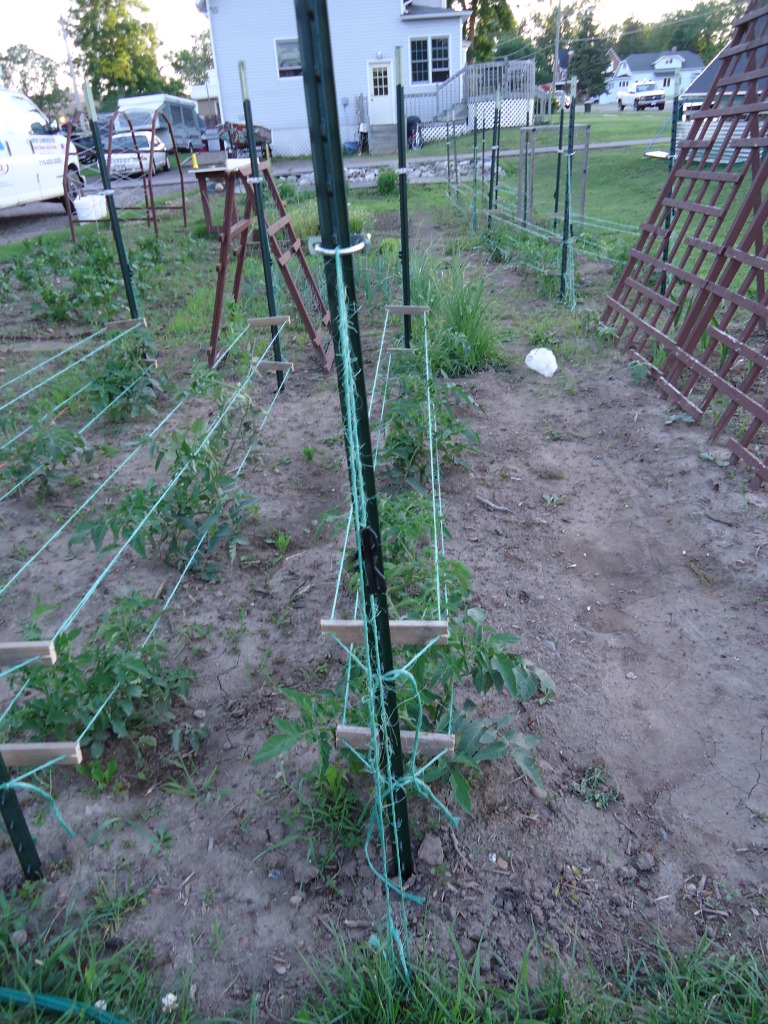 Homemade Tomato Trellises