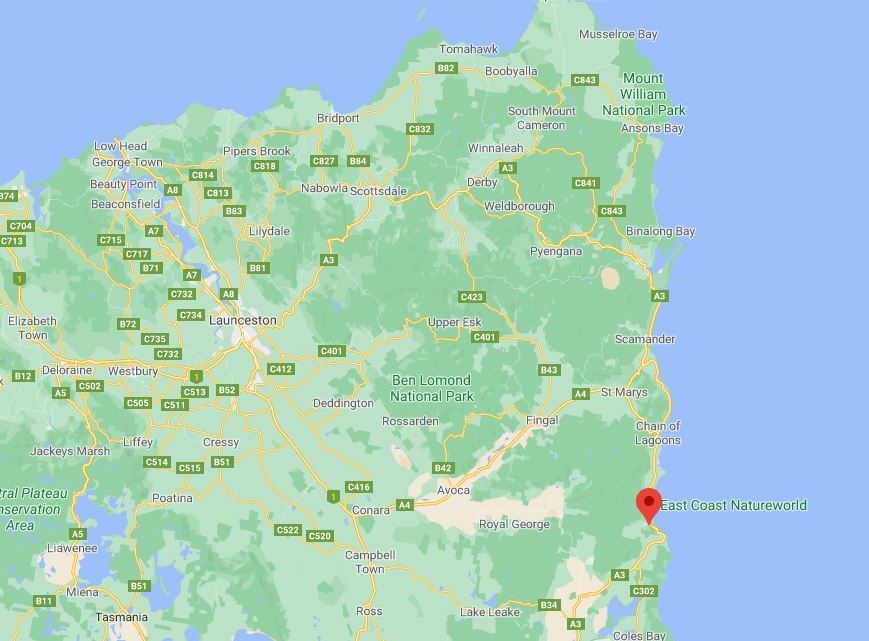 thoughts & happenings: The town of Bicheno, Tasmania