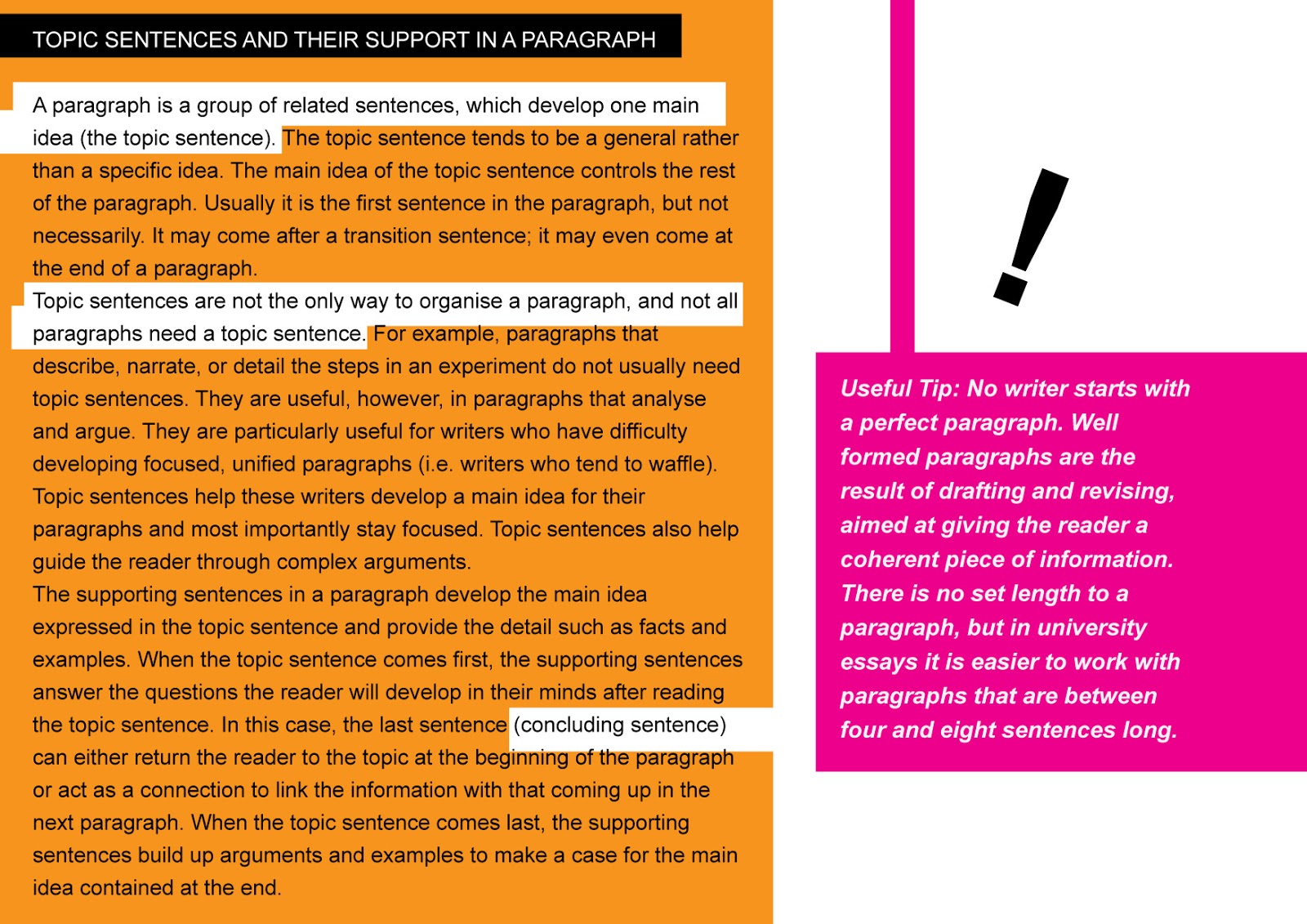 #5 Paragraph Organization