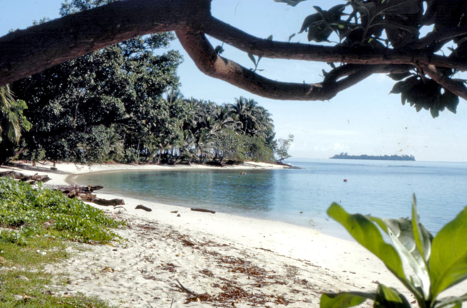 The Bougainville Copper Project: Andy Price contributed these priceless ...