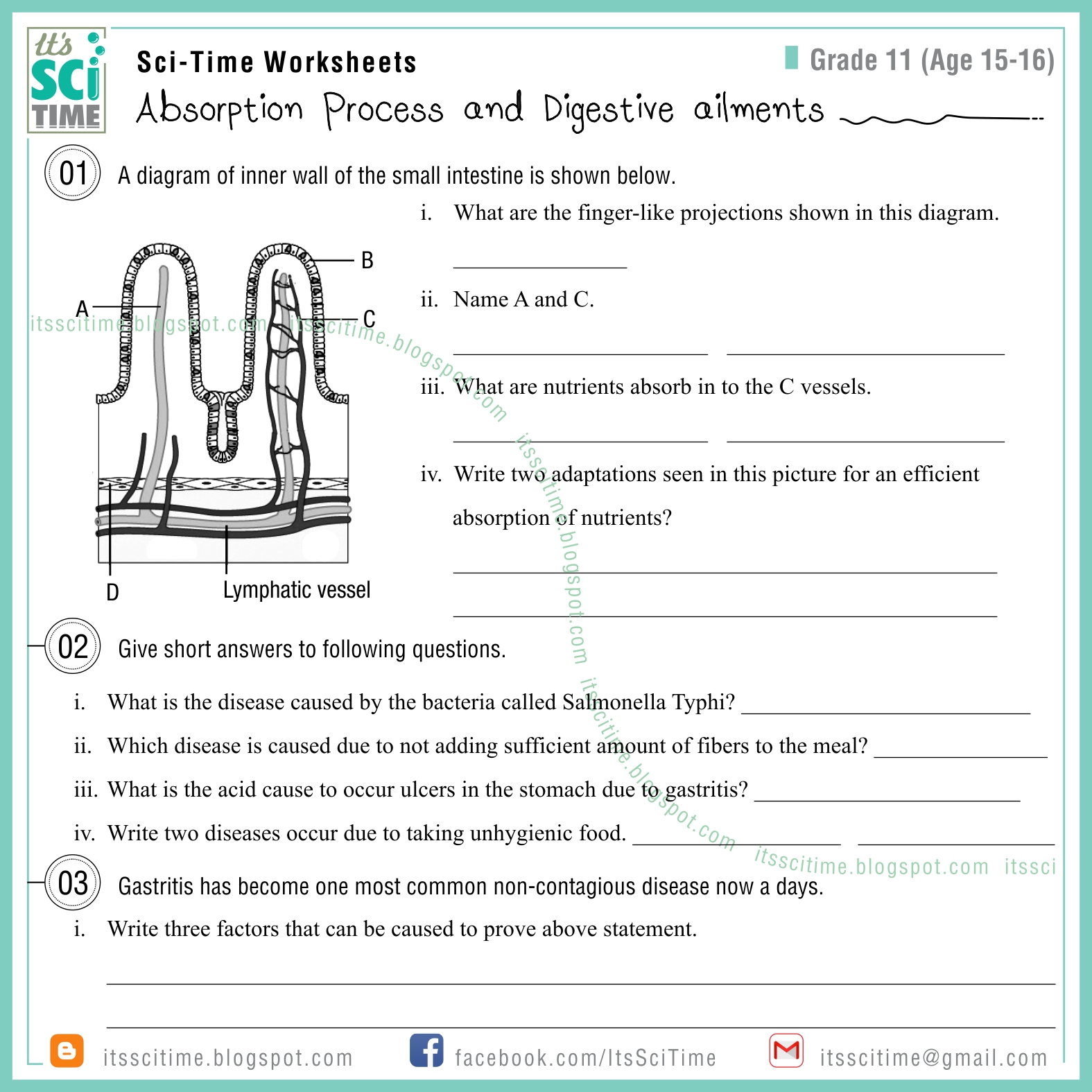 Its SciTime: Absorption process and Digestive ailments