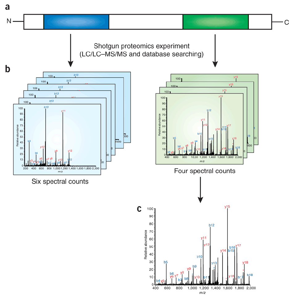 News in Proteomics Research: Spectral counting in Proteome Discoverer