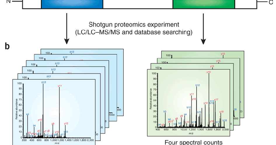 News in Proteomics Research: Spectral counting in Proteome Discoverer