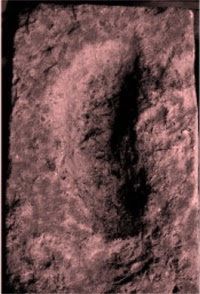 Reptiliano: Las Huellas humanas de los Viajes en el Tiempo