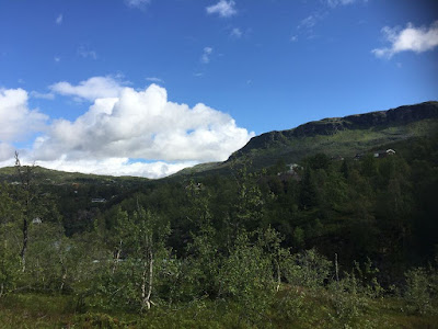 Blog Zweden: Hytte i Sysendalen, Vøringsfoss