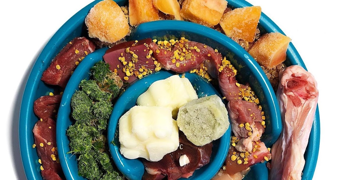 Raw Bowl- Fun Slow Feeder | Hannah Ra