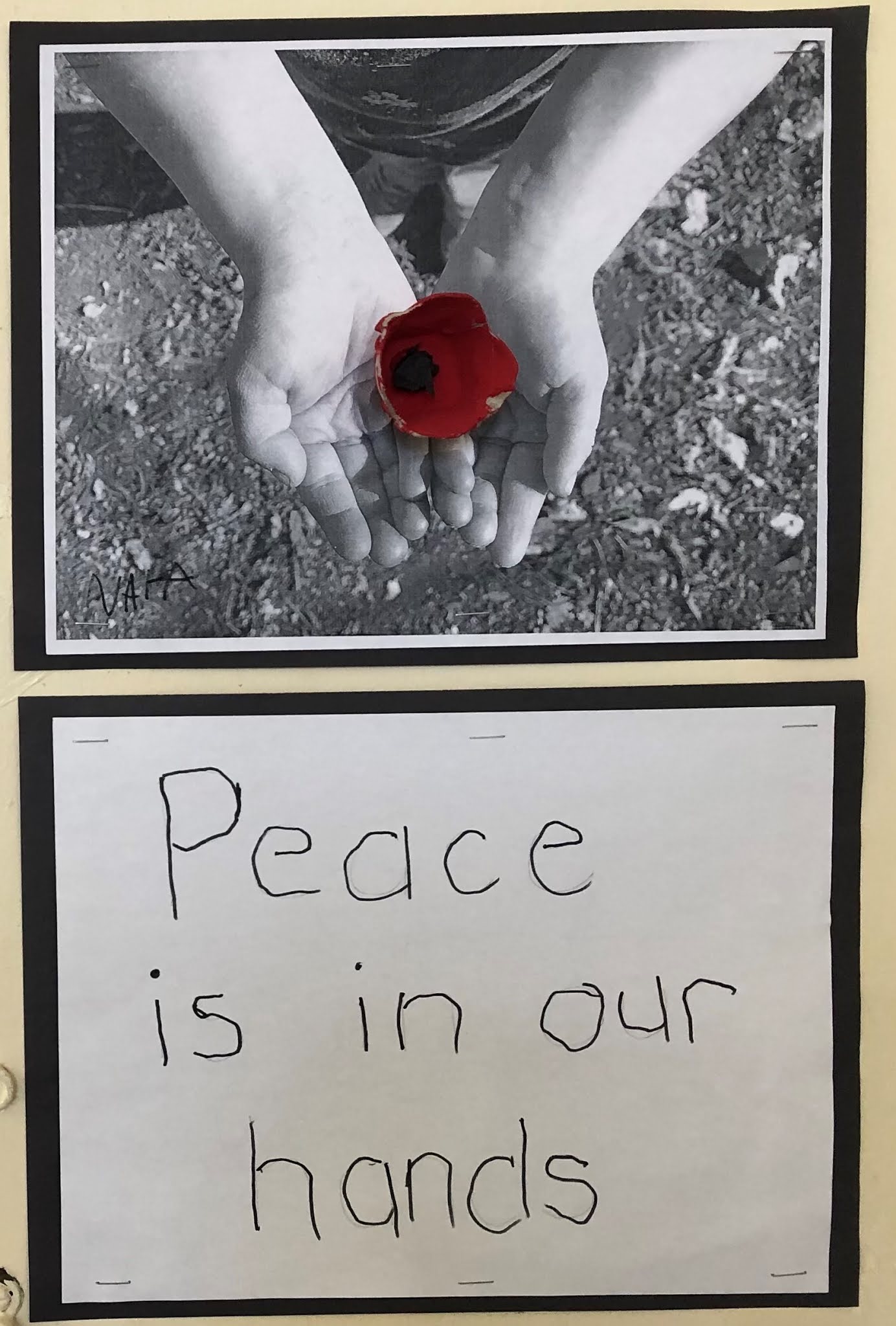 ms. brown's classroom: Remembrance Day - Peace is in Our Hands