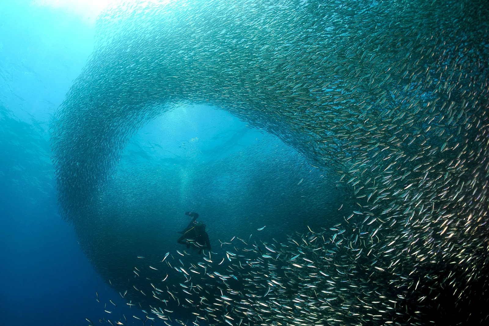 Franconia Challenge A Class: February 2016