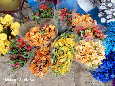 El Bable: De Oaxaca y sus flores