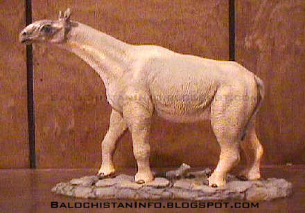 Baluchitherium | Balochistan Info