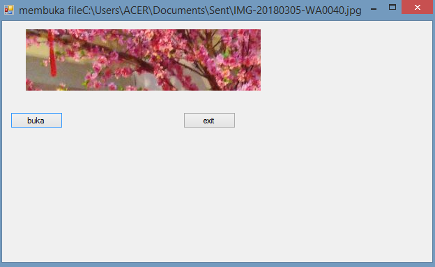 PERKENALAN DAN PERKEMBANGAN VISUAL BASIC 2008: EXCEPTION HANDLING
