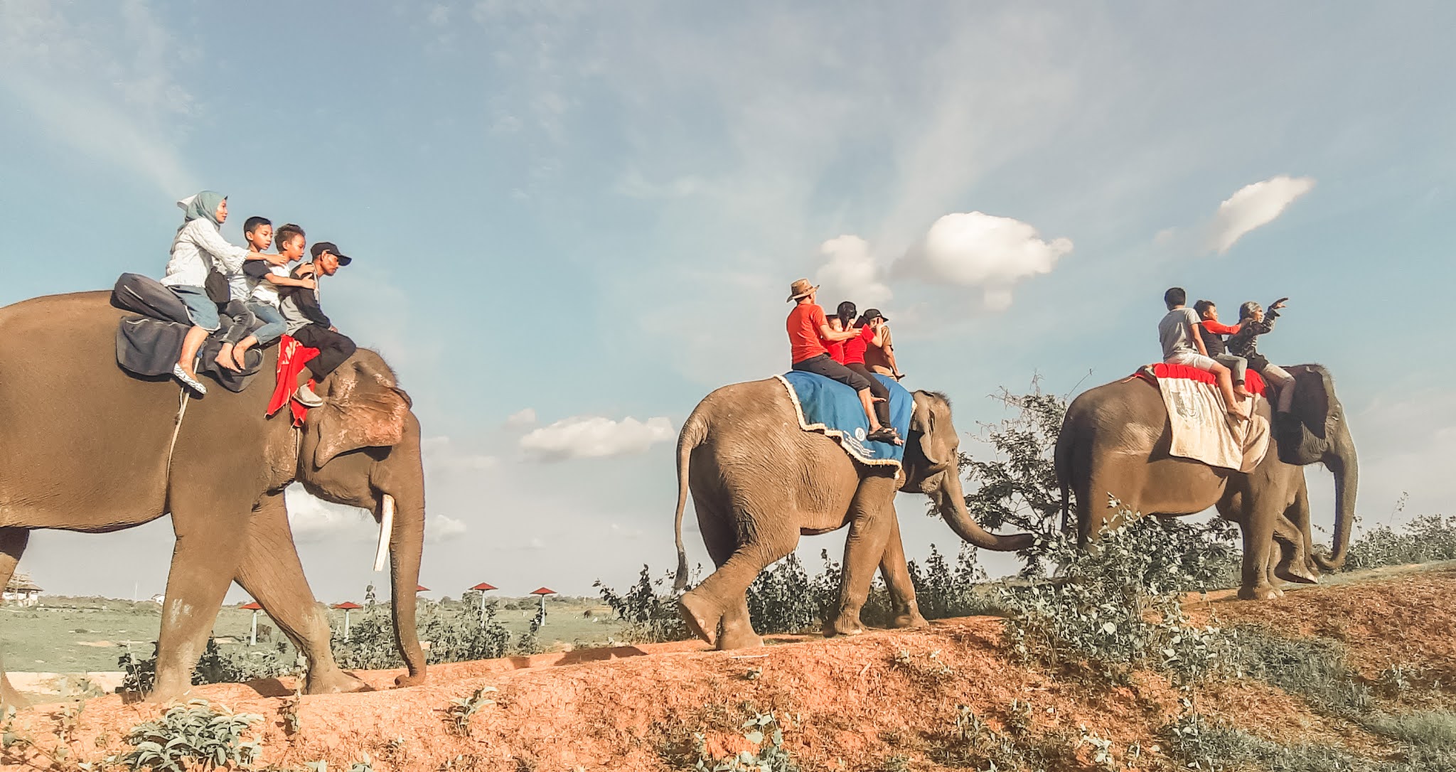 Way Kambas National Park Lampung (Melihat dan Berfoto bersama Gajah ...