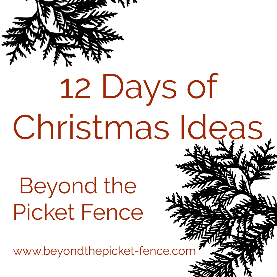 Beyond The Picket Fence: 12 Days of Christmas Day 3 Simple Snowflakes