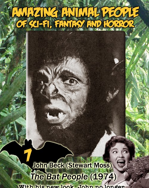 Films From Beyond the Time Barrier: Amazing Animal People #7: The Bat ...