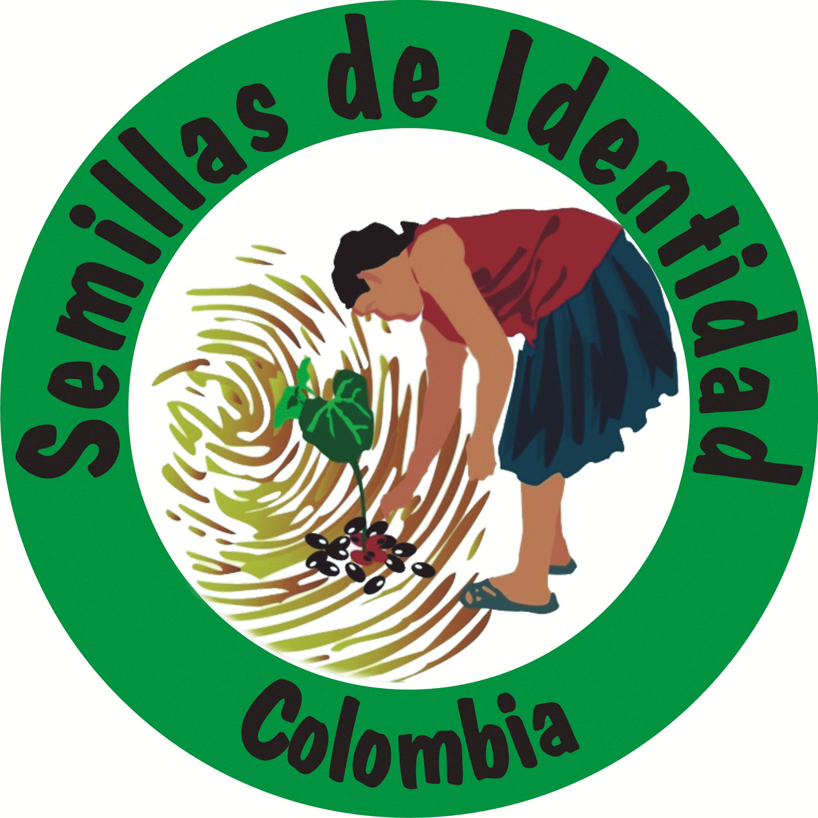 Redes De Custodios Y Guardianes De Semillas En Colombia Proceso En Obra