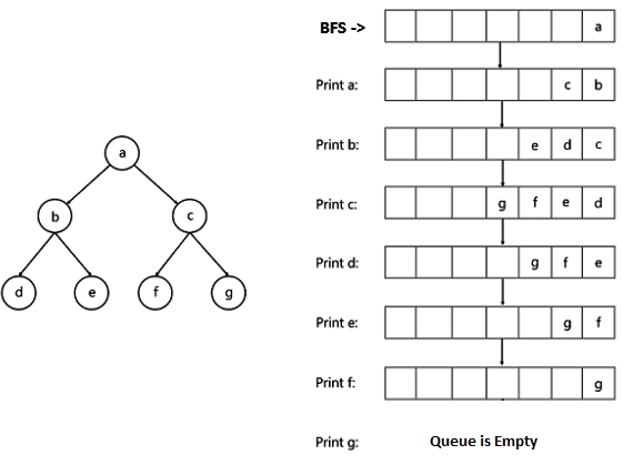 Data Structures and Algorithms (DSA) using C/C++: BFS algorithm ... Data Structures and Algorithms (DSA) using C/C++: BFS algorithm ...