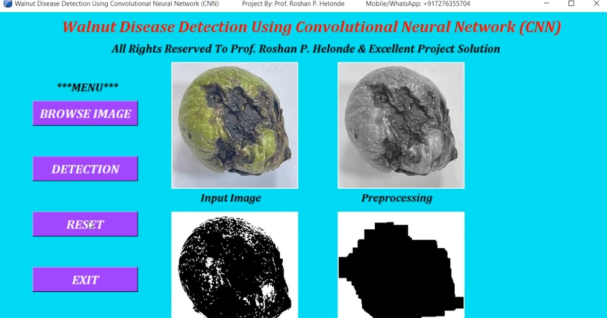 Python Code for Walnut Disease Detection Using Image Processing ...
