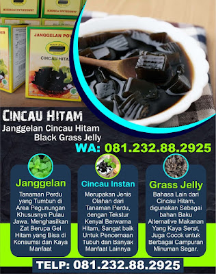 0812-3288-2925, Cincau Hitam, Cincau Hitam Bubuk, Grass Jelly Powder ...