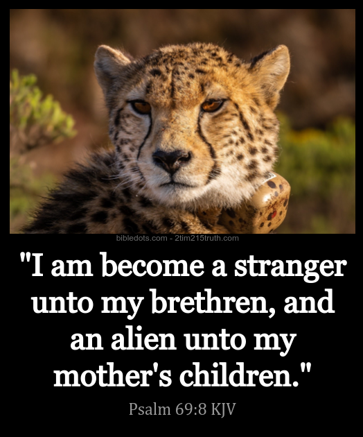 2 Timothy 2 15 Truth Verse Of The Day Psalm 69 8 KJV 2-timothy-2-15-truth-verse-of-the-day-psalm-69-8-kjv