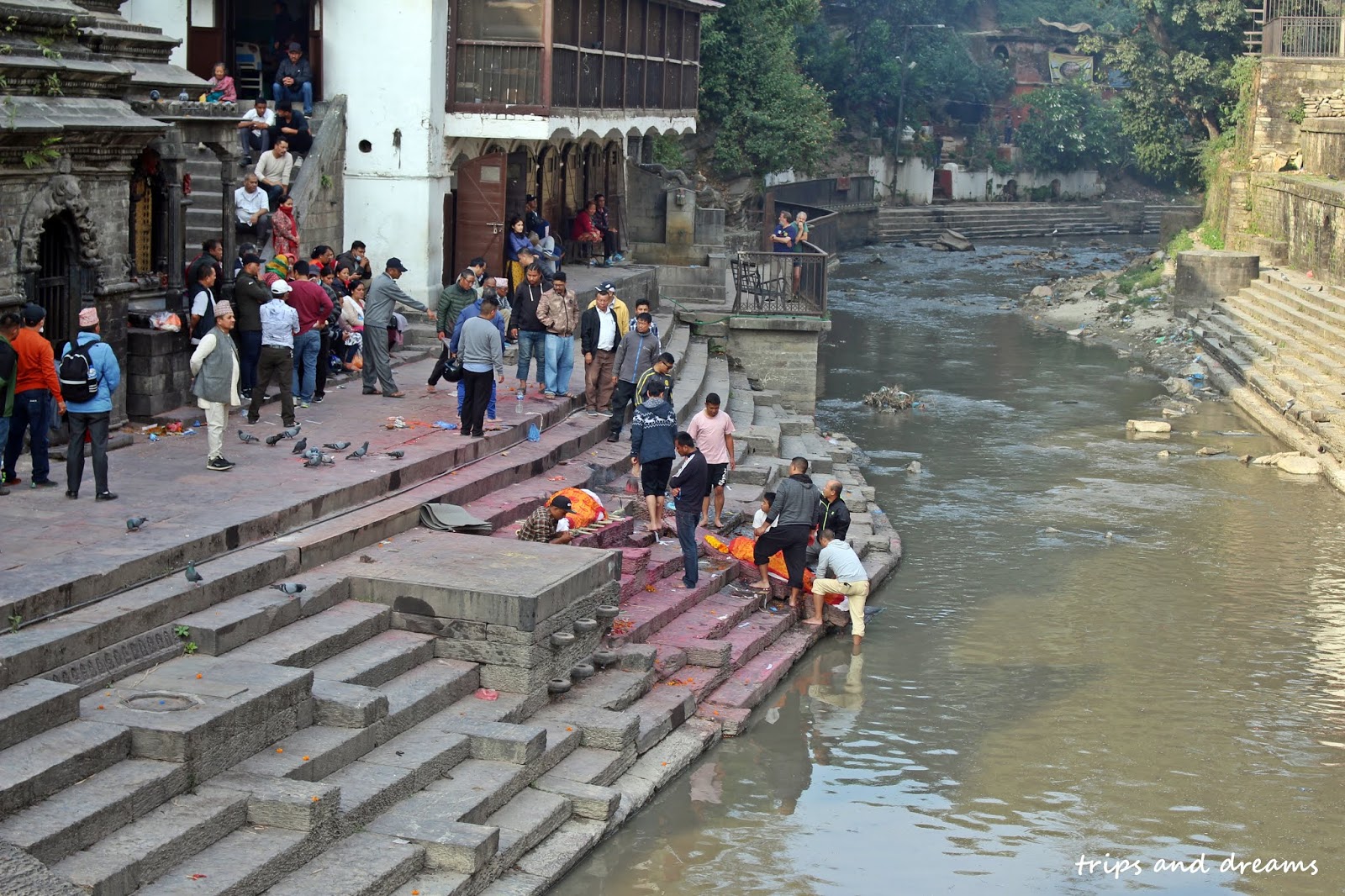 NEPALI STORIES-PASHUPATINATH TEMPLE - ΚΑΥΣΗ ΝΕΚΡΩΝ | TRIPS AND DREAMS ...